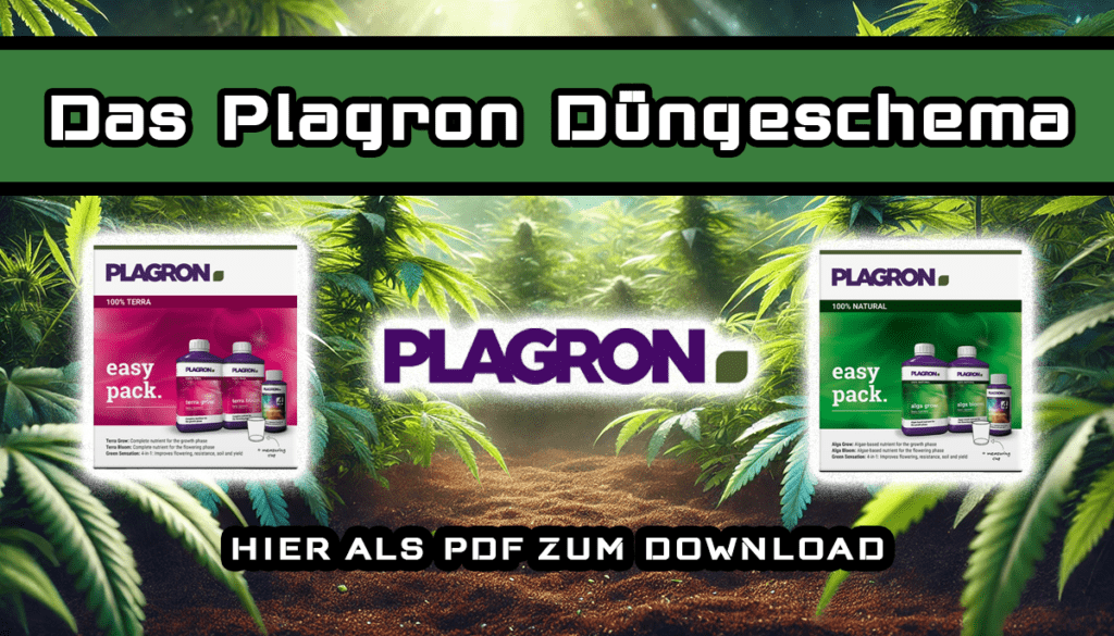 Das Plagron Düngeschema im Detail – 100% Natural vs. 100% Terra ...